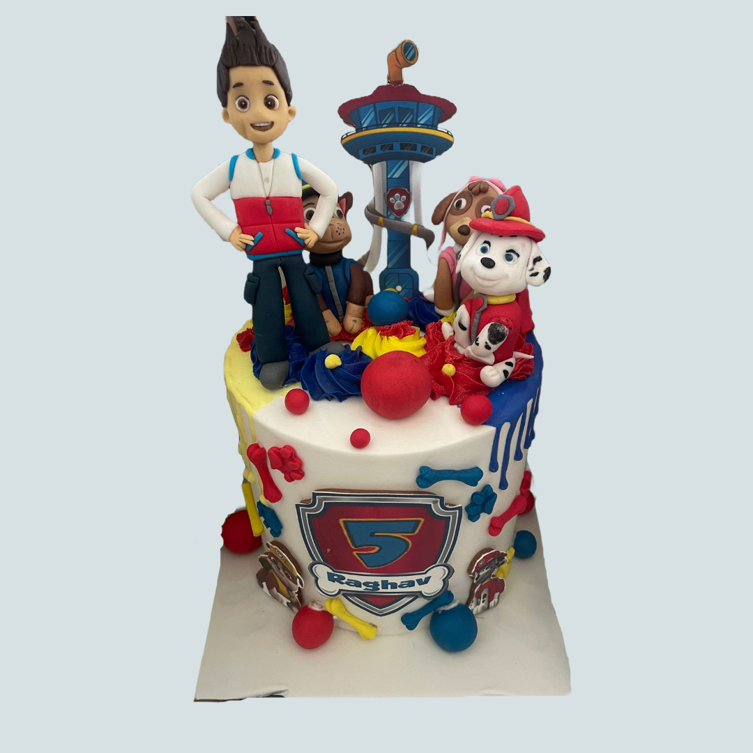 Paw Patrol drip Cake – Crave by Leena